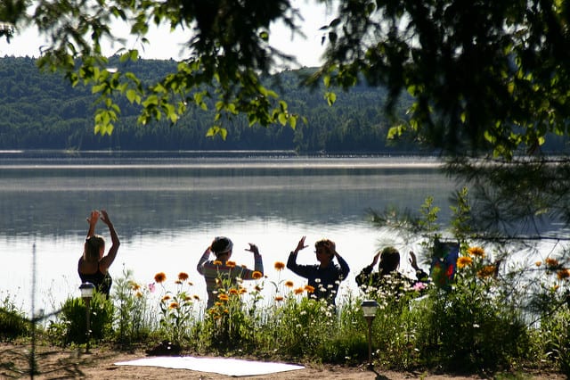 The Gifts of Nature: Japanese Forest Bathing | Northern Edge Algonquin