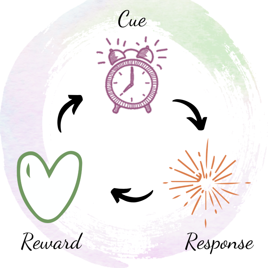 Creating Habits for Health and Wellness | Northern Edge Algonquin